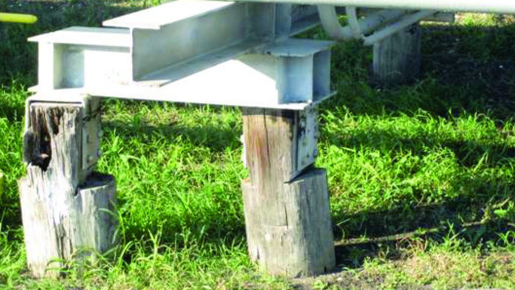 wood-piling-deterioration | STRUCTURAL
